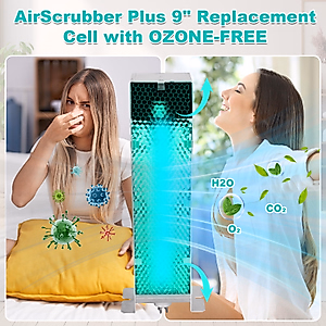 Air Scrubber Plus Replacement Üν Bulb and Cell for ActivTek InDuct 2000, A1013P, A1013Q, A1013A, A1013C, A1013T, Ozone Free, Air Scrubber Advanced Photocatalytic Oxidation (PCO) 9 Inch, 1 Unit