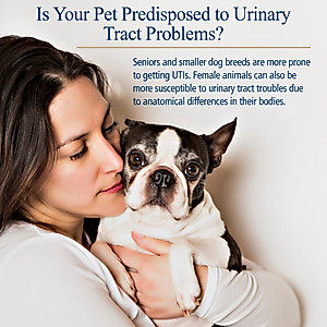 Rx Vitamins Cranberry Pills for Dogs - Cat Urinary Tract Medicine Support - UTI Treatment for Pets - Dog & Cat Urinary Relief Aid - 90 Cap.
