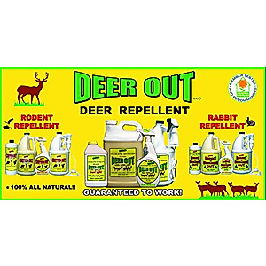 Deer Repellent :Deer Out 1 Gallon Concentrate Makes 10 Gallons