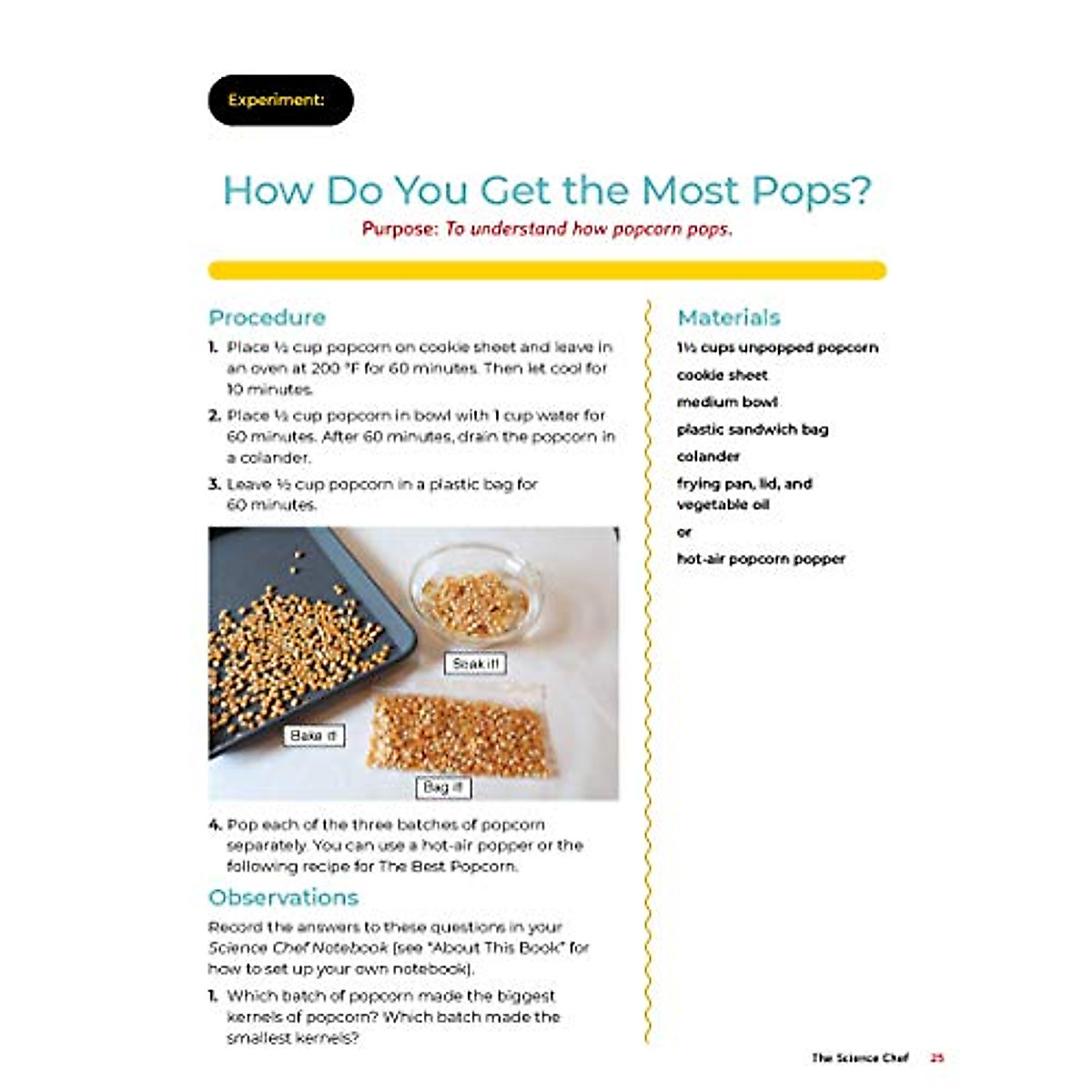 The Science Chef: 100 Fun Food Experiments and Recipes for Kids