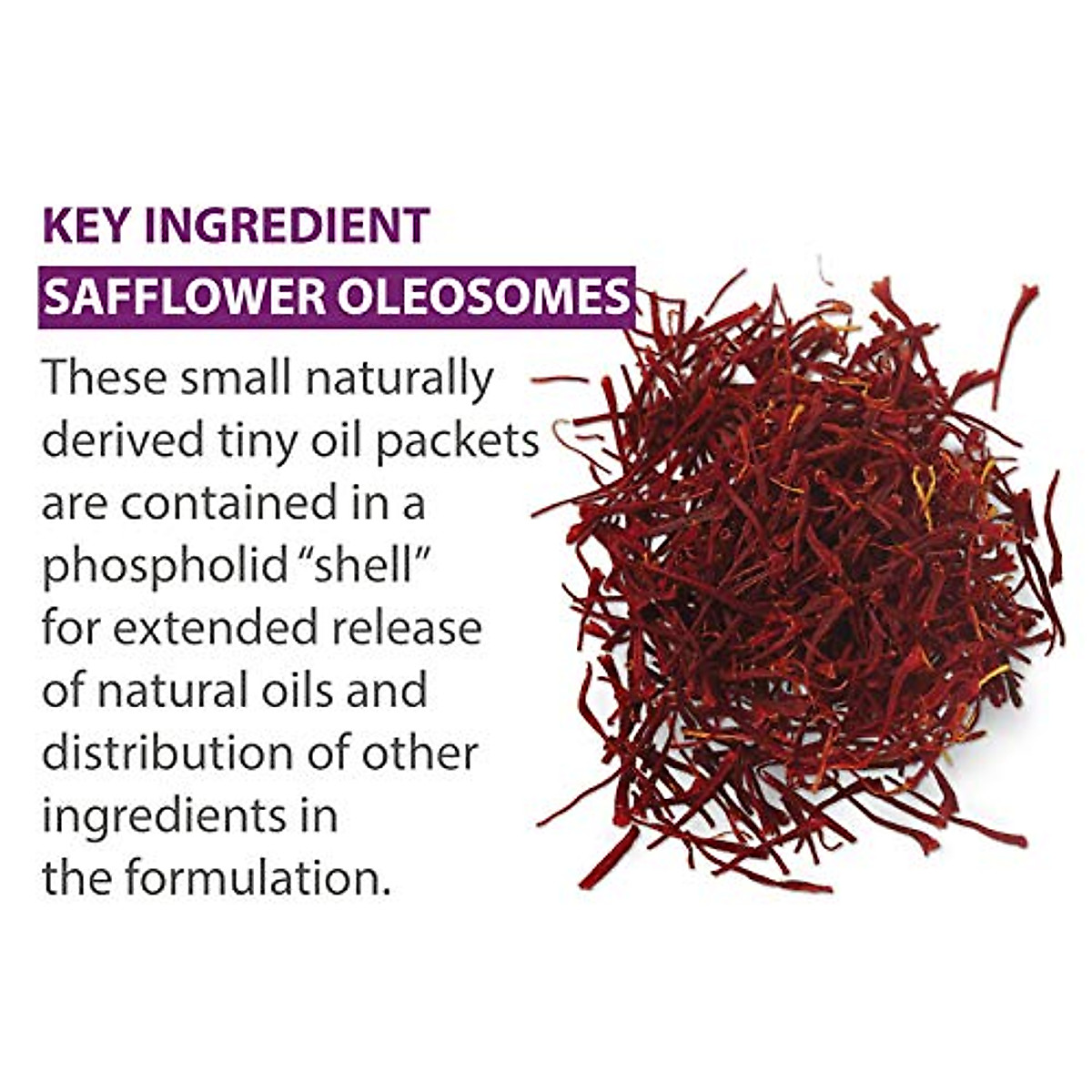 Medline Remedy Phytoplex Nourishing Skin Cream, Skin Moisturizer, Paraben Free Body Lotion, 16 Fl Oz