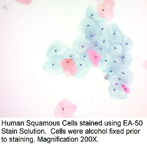 EA-50 Stain Solution, 1000ml