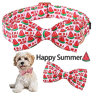 ARING PET Summer Dog Collar-Pink Watermelon Dog Collar with Bow, Adjustable Cotton Bowtie Dog Collar with Metal Buckle for Small Medium Large Girl and Boy Dogs