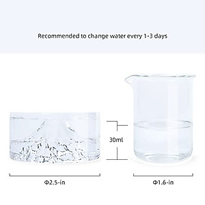 Niteangel Hamster Feeding & Water Bowls- Mount Fuji Series Glass Drinking Bowls for Dwarf Syrian Hamsters Gerbils Mice Rats or Other Similar-Sized Small Pets