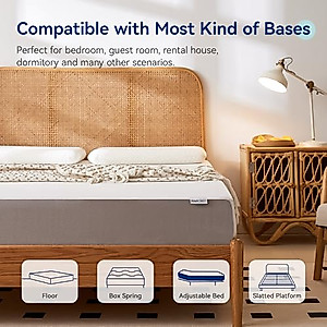 Amazon Basics Memory Foam Plush Mattress, Queen, White/Grey, 80 x 60 x 8 inches