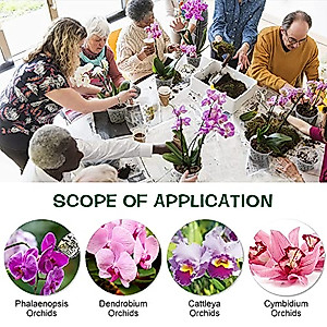 Kitypartsy Orchid Pot, 5 Inch 6 Pack Orchid Pots with Holes and Saucers, Clear Plastic Orchid Pots