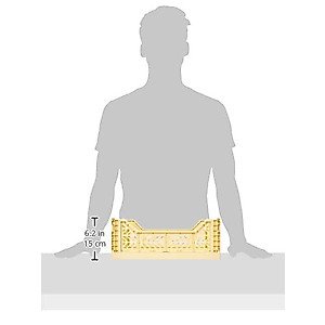 HAY Colour Crate M 507673 Transport Box Height 14.5 cm Depth 30 cm Length 40 cm Yellow
