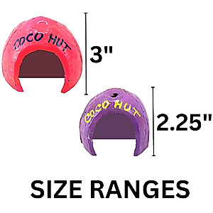 Needzo Hermit Crab Coconut Hut, Small Hideout for Pet Habitat, Color and Size May Vary, 2.25 to 3 Inches