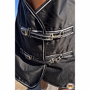 HILASON 1200D Turnout Light Winter Waterproof Rain Sheet Horse Sheet Black | Horse Sheet | Horse Turnout Sheet | Horse Sheets for Winter | Waterproof Turnout Sheets for Horses