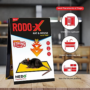 HEDO Rat/Mouse Glue Board,Mouse Catcher Sticky Glue Pad,Non-Poisonous, Non-Toxic Trap Pack of 10