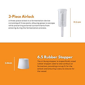 FastRack Stopper/Airlock 1 Gallon Glass Fermenter/Jug, Clear