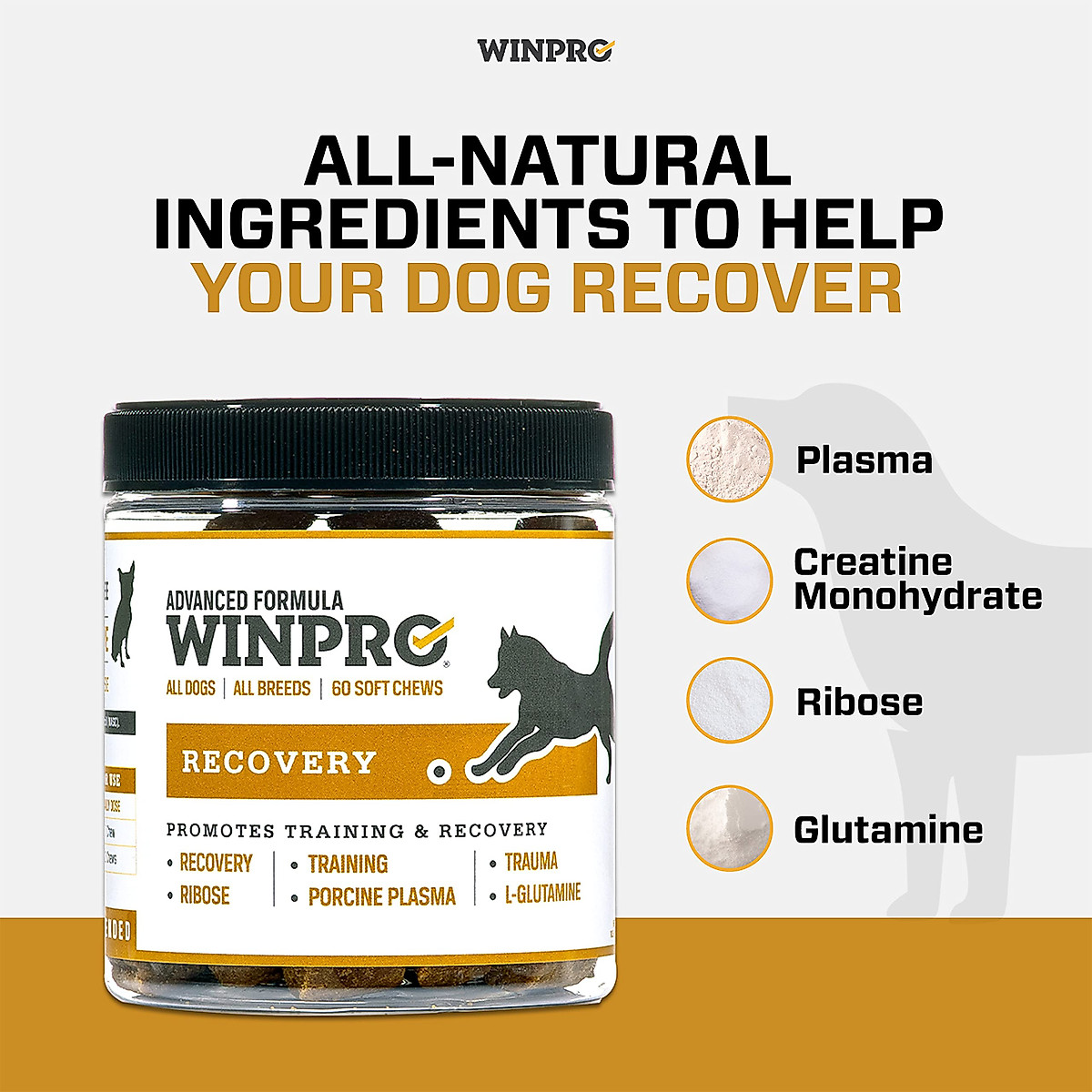 WINPRO Recovery Chews for Dogs, Plasma-Powered for Active Dogs, Immune System Support, and Dog Training Support for Competition and Sport Muscle Recovery and Agility, 60 Count, Made in USA