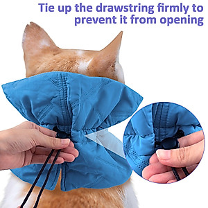 Cat Cone Collar Soft, Cat Recovery Collar to Stop Licking Scratching, Waterproof Elizabethan Collar for Small Cats