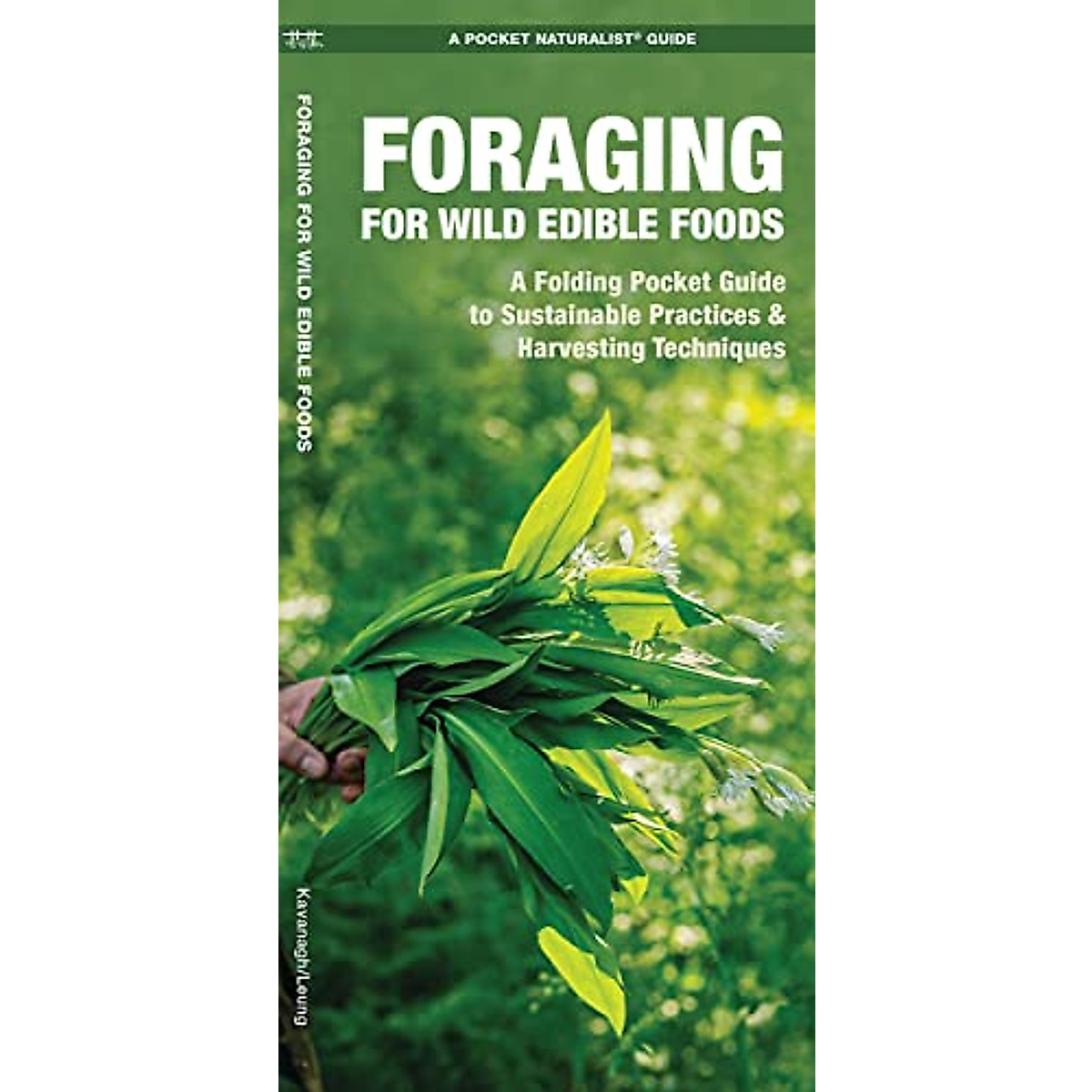 Foraging for Wild Edible Foods: A Folding Pocket Guide to Sustainable Practices & Harvesting Techniques (Outdoor Recreation and Survival)