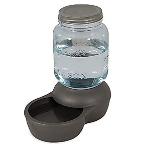 Petmate Mason Inspired Replendish Gravity Waterer, Water Dispenser for Dogs and Cats, 1 Gallon Silver