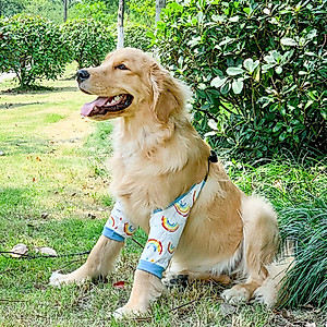 Print Dog Surgical Puppy Elbow Knee Padded Support Wound Elbow Brace Pet Joint Knee Care Supply