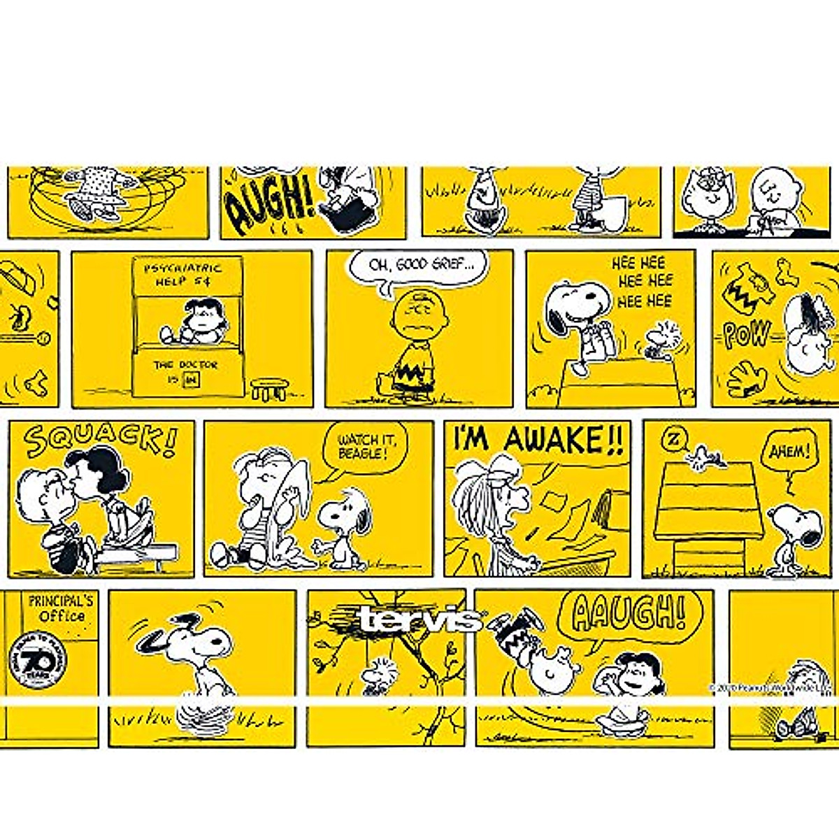 Tervis Peanuts-70th Comic Strip Triple Walled Insulated Tumbler, 20oz, Stainless Steel