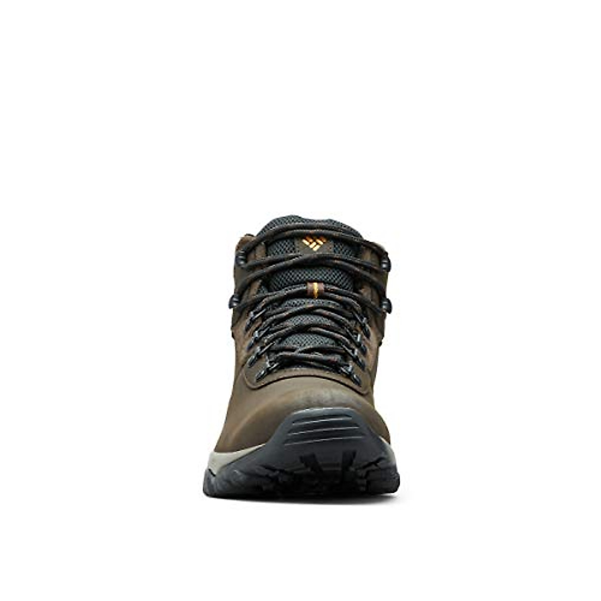 Columbia mens Newton Ridge Plus Ii Waterproof Hiking Boot, Cordovan/Squash, 9 US