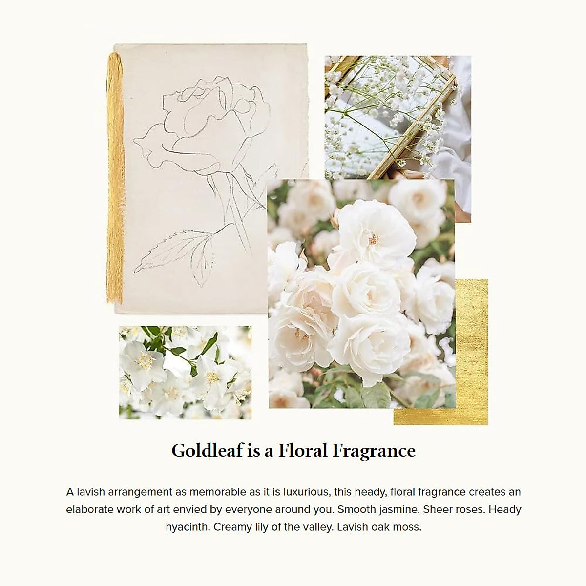 Thymes Moisturizing Hand Wash Soap with Pump - Luxury Hand Soap Gently Cleanses & Moisturizes - Skin Care with Glycerin & Jojoba - Heady, Floral Fragrance (Goldleaf, 8.25 oz)