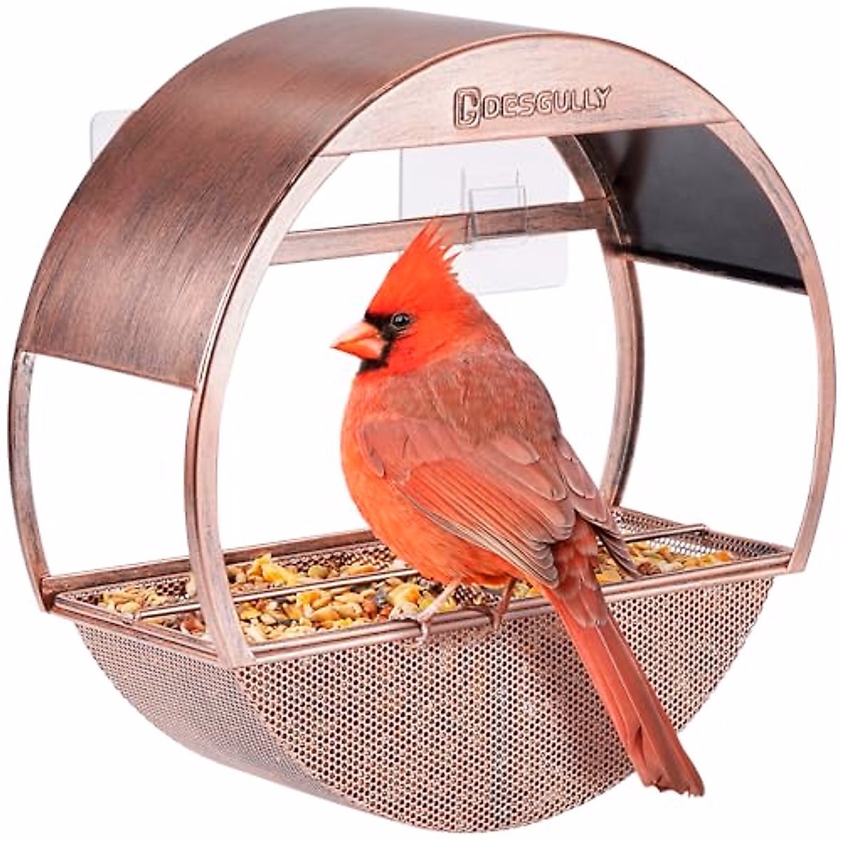 Window Bird Feeder, Desgully Metal Window Bird Feeder, Window Bird Feeders with Strong Suction Cups, Super Adhesive Sheet×4，Large Outdoor Bird Feeder, Bird Watching (Round)
