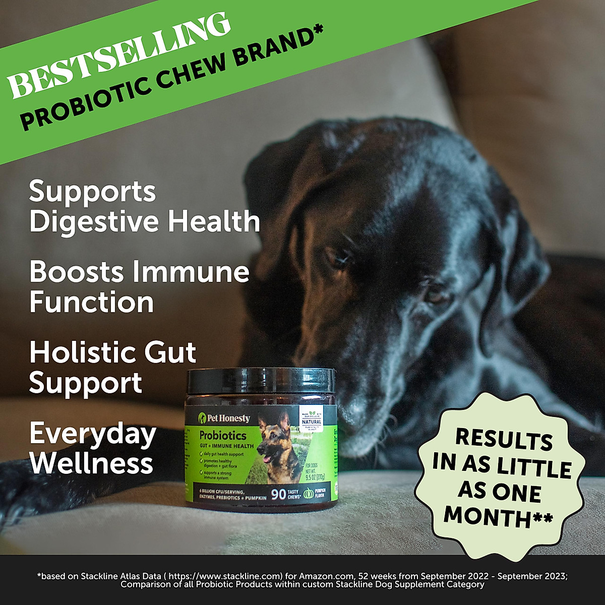 Pet Honesty Allergy Itch Relief & Probiotics Bundle: Dog Allergy Relief & Gut Health Chews (Peanut Butter & Duck 90 ct)