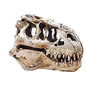 KODENG Tyrannosaur Skull T-Rex Skull Gifts Lifelike Resin Crafts Dinosaur Skull Fossil Teaching Skeleton Model Home Aquarium Decor (A)