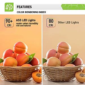 ASD Swivel LED Under Cabinet Lighting, 12 Inch 5W, Hardwired or Plug-in, 2700K/3000K/4000K Selectable, Rotatable Lens, Dimmable Linkable Under Counter Light for Kitchen, ETL & Energy Star