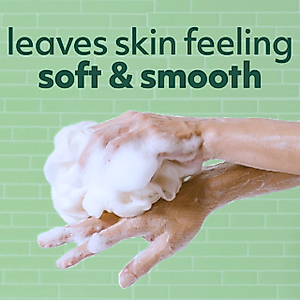 Softsoap Eucalyptus & Mint Body Wash, Moisturizing Body Wash, 20 Oz, (4 Pack)