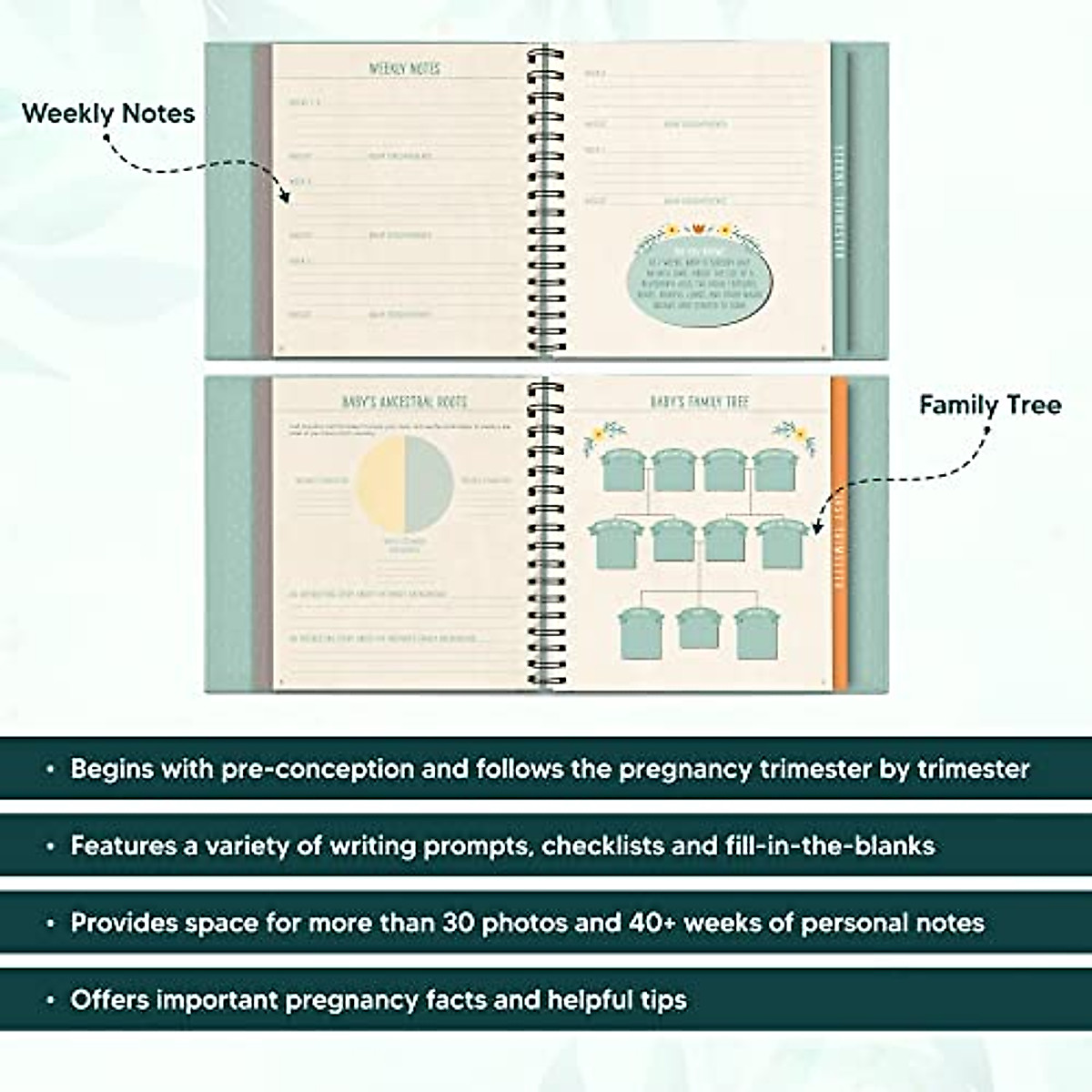 Guided Pregnancy Journal by Studio Oh! - Bump for Joy - 9" x 9" - Beautifully Illustrated Hardcover Journal with Storage Pockets Creates a Keepsake of Maternity Memories