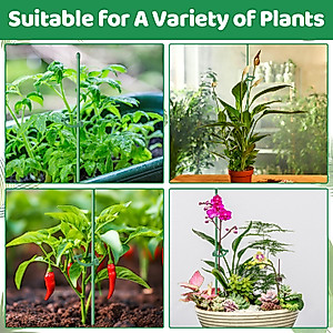 Plant Stakes, 28 Pcs Plant Support Sticks Adjustable Length with 28 Clips and 14 Links for Indoor Outdoor Garden Potted Rose Tomato Vegetables-16 & 12inch
