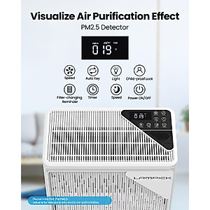 LAMPICK Air Purifier Filter 4-in-1 High-Efficiency True HEPA Replacement Filter, Air Filter Compatible Air Cleaner A6, H13 True HEPA Filter for Smoke Pollen Dander Hair Smell (1 Pack)