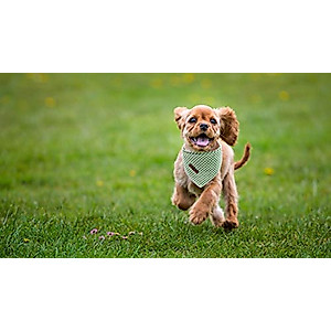 Lionet Paws Dog Bandana for Small Medium Large Dogs, Cat Dog Kerchief Dog Triangle Bibs Scarf for Girl or Boy