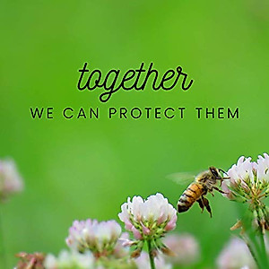 Honey Bee Wildflower Pollinator Mix - 65,000+ Seeds Perennial & Annual Flowers - Planting Outdoors to Save The Bees - California Poppy, Primrose, Bergamot & More