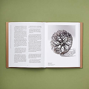 Everything She Touched: The Life of Ruth Asawa