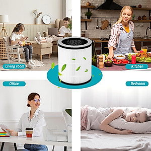 4 Packs P60 H13 True HEPA Replacement Filters Compatible with TPLMB P60 and Vhoiu KJ50 Air Cleaner Purifier , Part # P60-RF, 3 in 1 Filter of Nylon Pre-Filter,True HEPA Filter, Activated Carbon Filter
