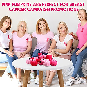 Thyle 24 Pcs Pink Faux Velvet Pumpkins Pink Home Fall Decoration Fabric Pumpkins Velvet Foam Pumpkins for Thanksgiving Harvest Wedding Baby Shower Farmhouse Table Centerpiece