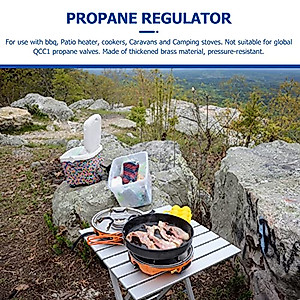 Totority Propane Propane Tank Regulator Tank Low Pressure Gas Regulator Gas Regulator& Pigtail Kit Household Gas Valve Gas Pressure Reducing Gas Grill Regulator Valve Gas Regulator