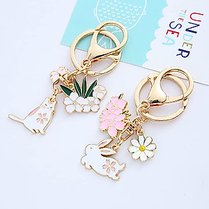 HEYU Cute Keychain for Girls 2PCS Kawaii Aesthetic Accessory Key Chain For Women Cartoon Airpod Backpack Charm Keyring Gifts (Pink Rabbit Cat)