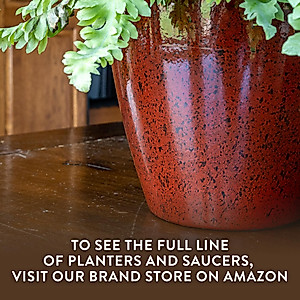 Classic Home and Garden 3/807G/1 Premiere Collection Planter, Vogue 8", Willow Green