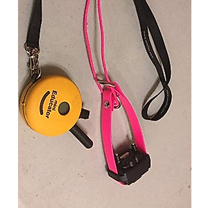 Sparky Pet Co - ECollar Replacement Strap - Bungee Dog Collar - Waterproof - Adjustable - Secure Nexus Wheel Lock - for Electronic Training & Invisible Fence Systems - 3/4" (Black)