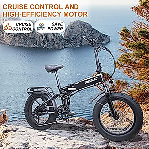 LEONX PASELEC Electric Bikes for Adults 20'' Folding Electric Bicycle,Hydraulic Brakes,48V 12ah 750W Motor Ebike Fat Tire Mountain e-Bike,Full Suspension, 9 Gears Cycle for Men Women (Black)