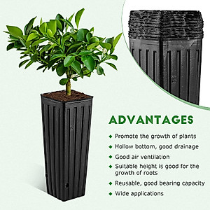 DOITOOL 50Pcs Plastic Nursery Bags for Plants, Tall Seedling Flower Plant Container Starting Pots, Flower Pot Container Bonsai Holder Succulent Planter with Drainage for Plant Growing (Black)