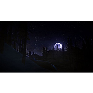 The Long Dark - PlayStation 4