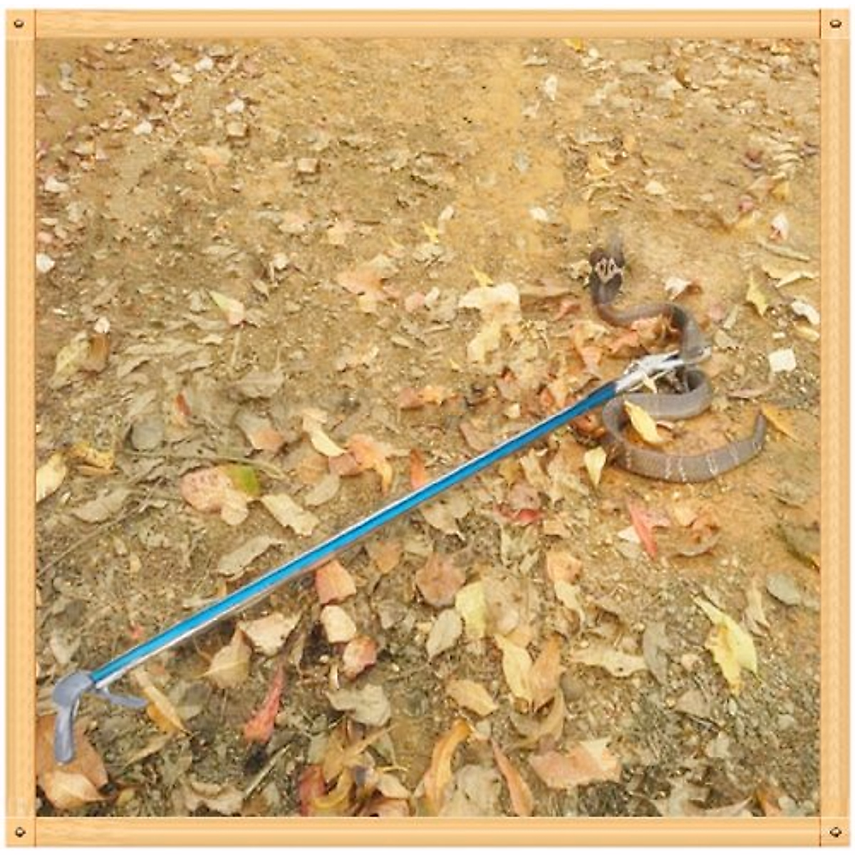 Reptile Tongs (40" Snake Tongs)