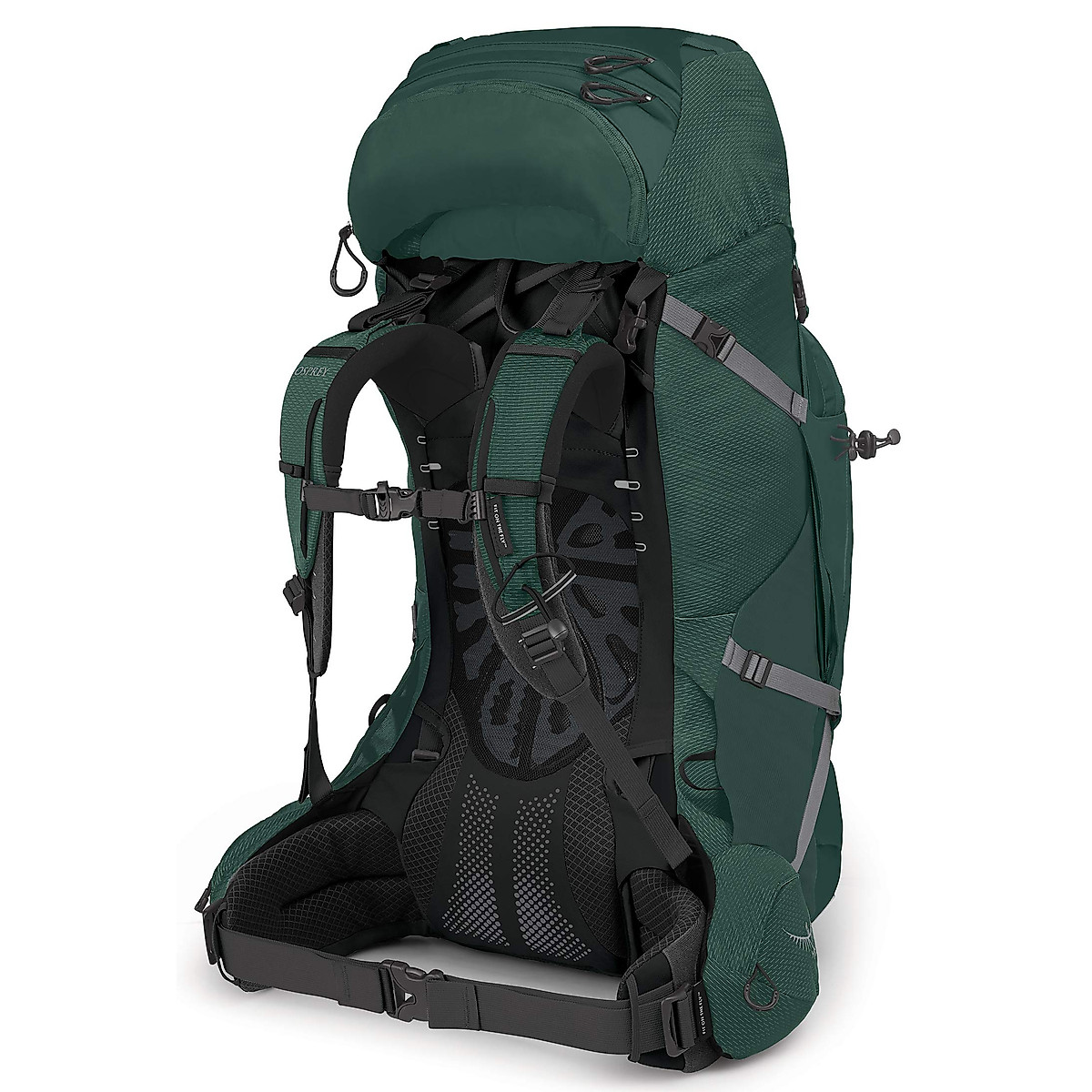 Osprey Aether Plus 70L Men's Backpacking Backpack, Axo Green, S/M