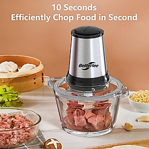 Food Processor, Meat Grinder & Veggie Chopper with 2 Bowls (8 Cup+8 Cup) - Includes 1 Set of Bi-Level Blades, 500W Powerful Electric Food Chopper for Baby Food Meats Vegetable and Nuts