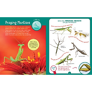 Backpack Explorer: Bug Hunt: What Will You Find?