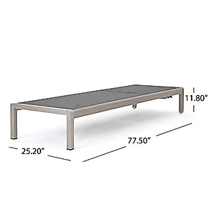 Christopher Knight Home Cape Coral Outdoor Mesh Chaise Lounge, Silver / Dark Grey