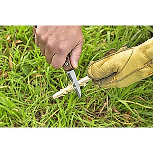 KAKURI Japanese Wood Carving Knife Folding 2.3" (Double Bevel), Made in JAPAN, Japanese White Steel No.2 Blade, Pocket Knife for Woodworking, Woodcarving, Outdoor, Camp, Bushcraft, Brown