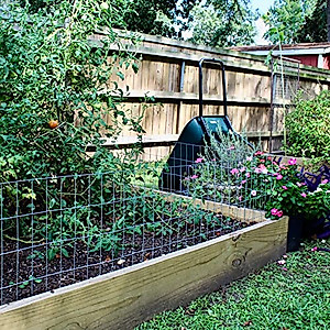 24'' x 50' 1inch Hardware Cloth 16 Gauge Black Vinyl Coated Welded Fence Mesh for Home and Garden Fence and Home Improvement Project (24'' x 50')